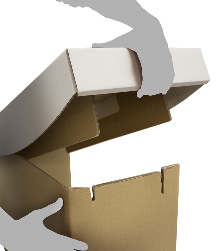 Mostrador De Cartón Miami